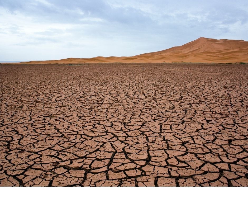 ONU alerta que seca poderá tornar-se a próxima "pandemia" - Pressmondo